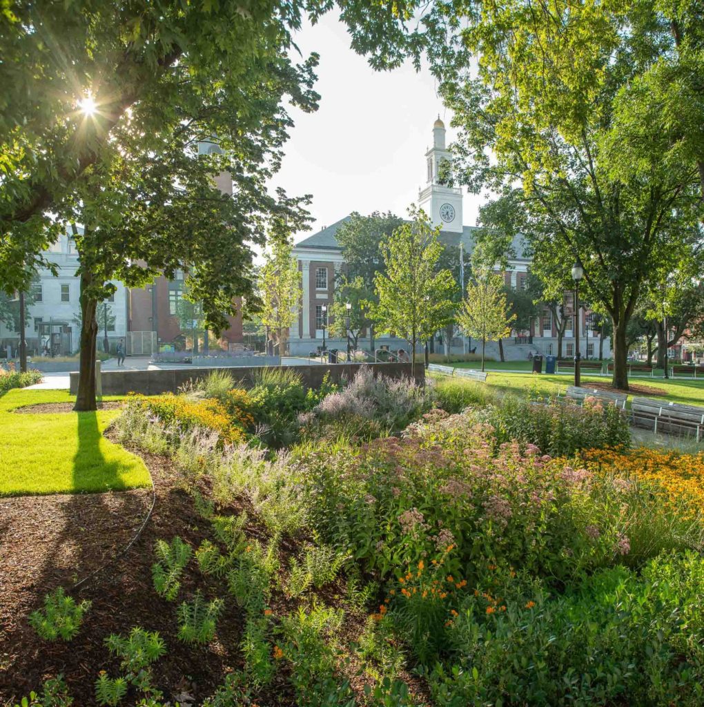 Burlington City Hall Park - Landshapes