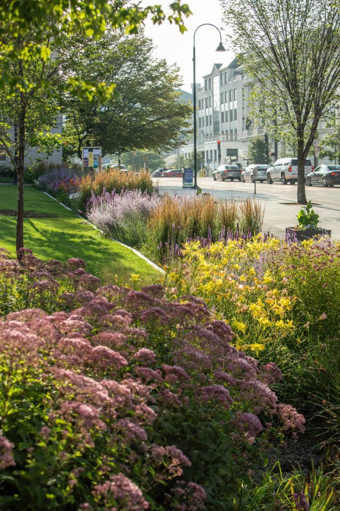 Burlington City Hall Park - Landshapes