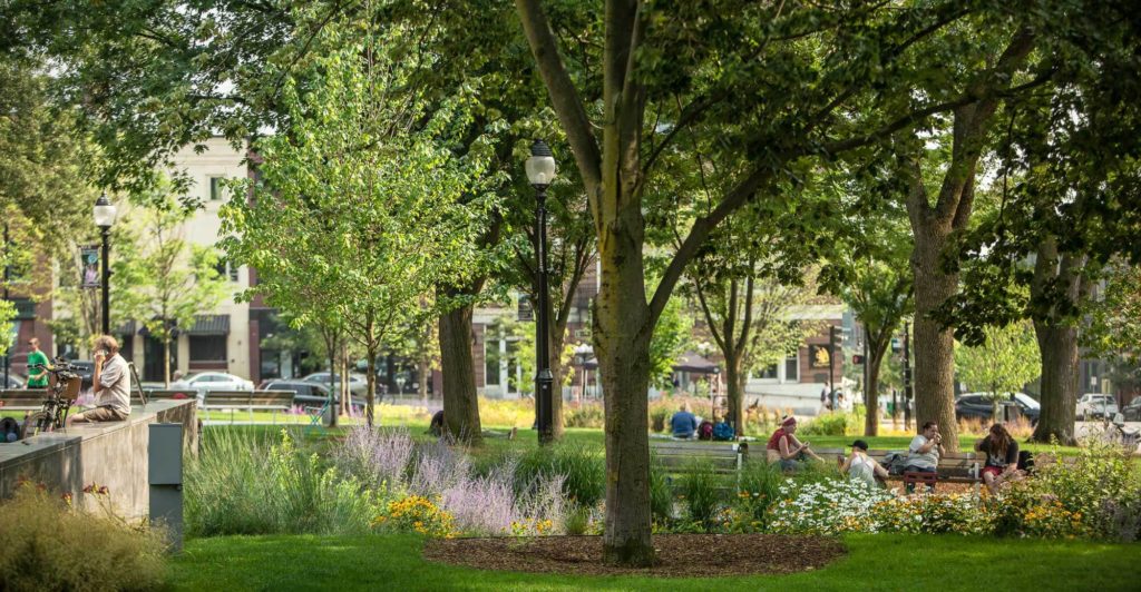 Burlington City Hall Park - Landshapes